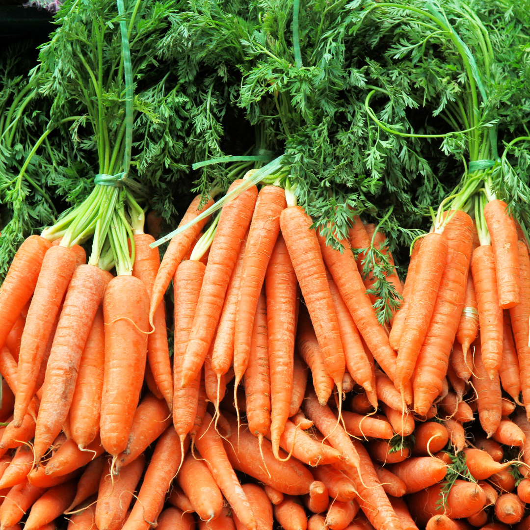 Regino Farms Organic Carrots – Local Yokels
